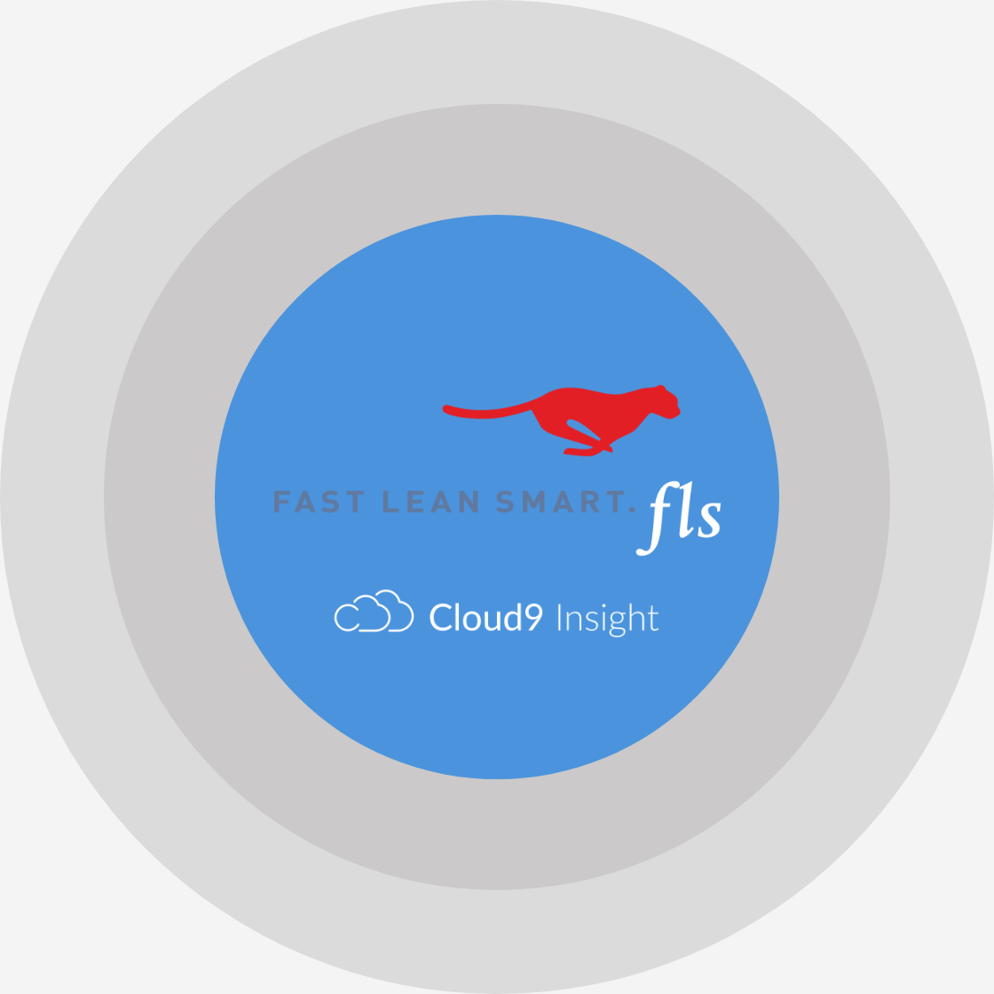 Partner Spotlight - FLS - FAST LEAN SMART - Cloud 9 Insight